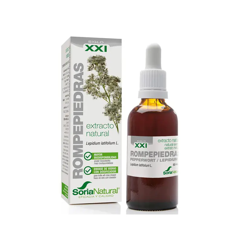 Planta Medicinal Lepidium: Beneficios Y Usos | Botoxina